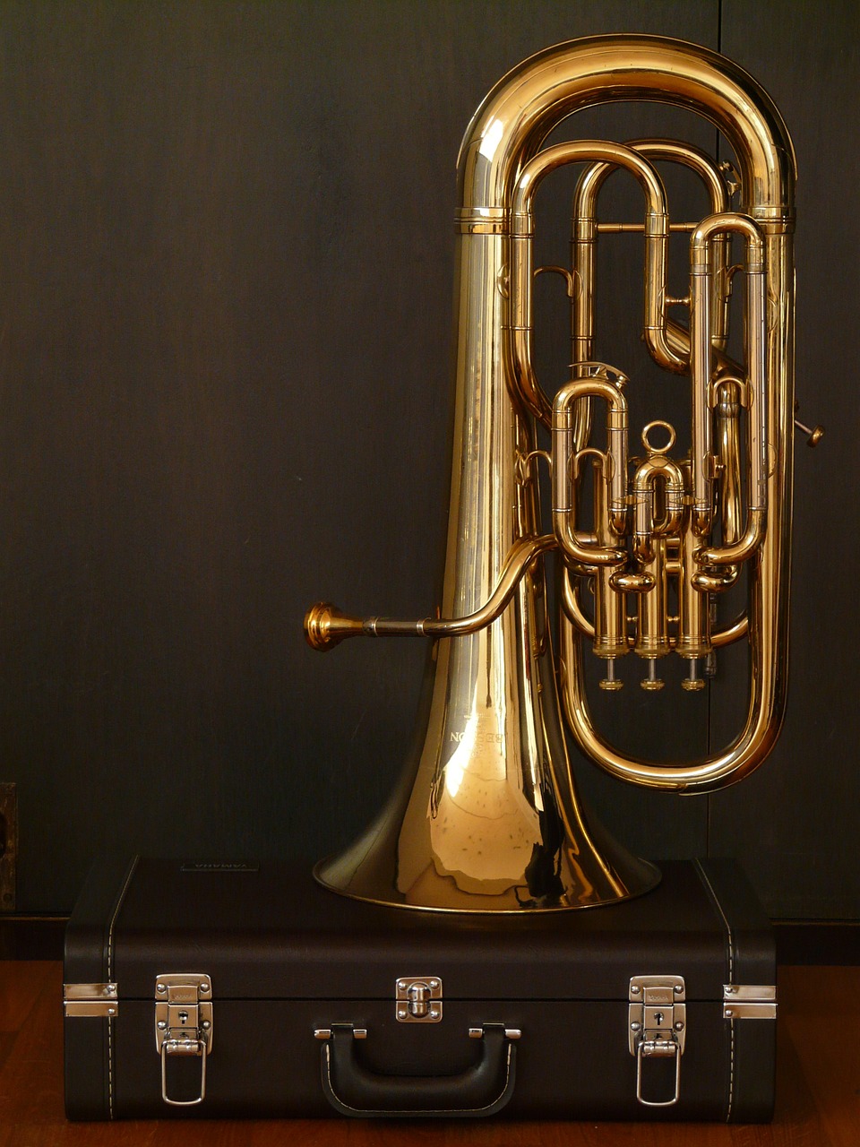 euphonium-7976_1280